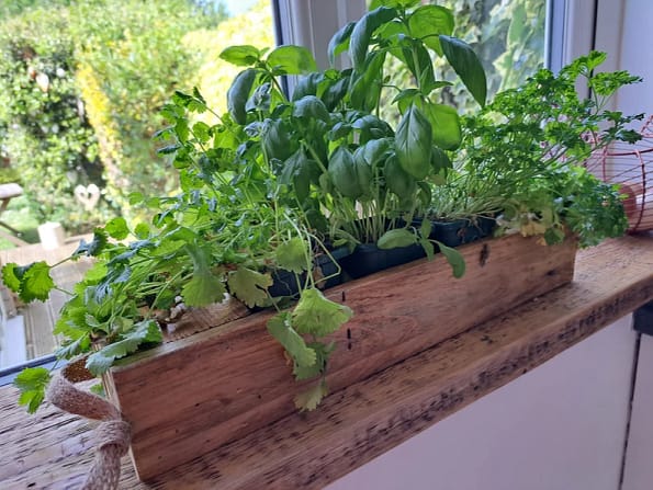 How to Use Indoor Window Planter Box to Add Charm and Character to Your ...